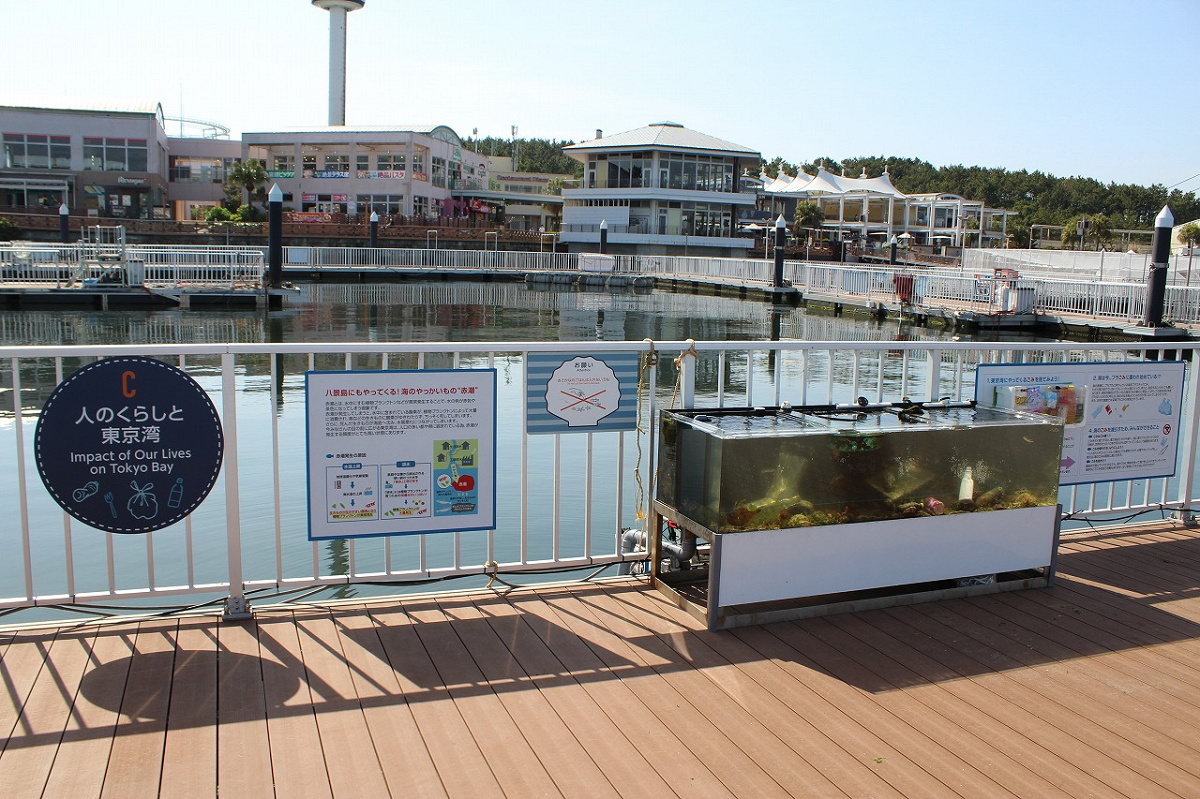 海洋ごみについて学べる展示も| キャステル | CASTEL ディズニー情報