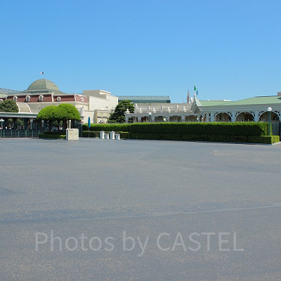 ディズニーの電話番号一覧| キャステル | CASTEL ディズニー情報